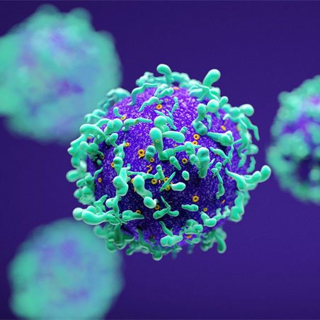 New Technology for Pseudorabies PRV Vaccine Purification