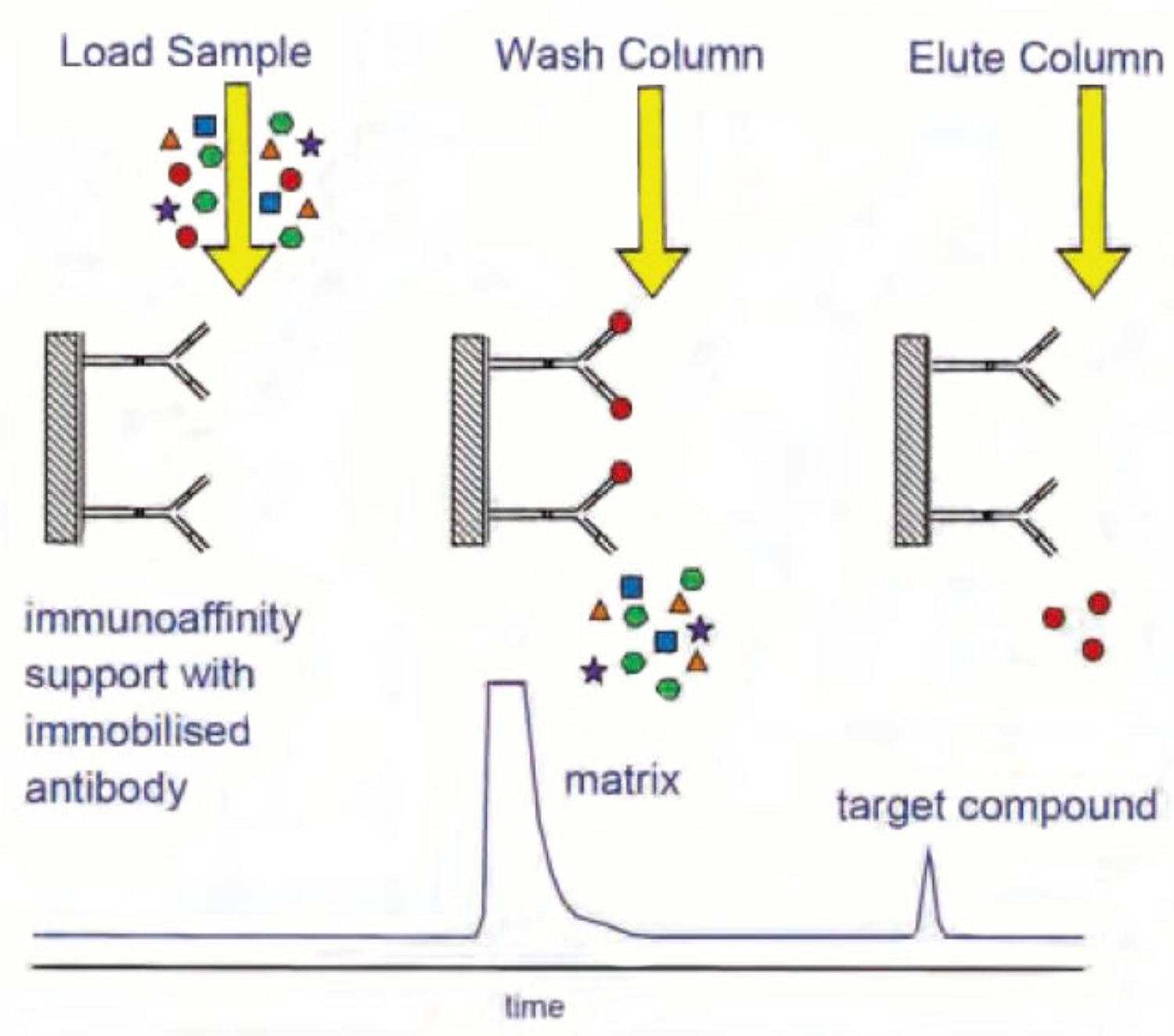 Affinity Chromatography Phase Selectivity | GALAK Chromatography