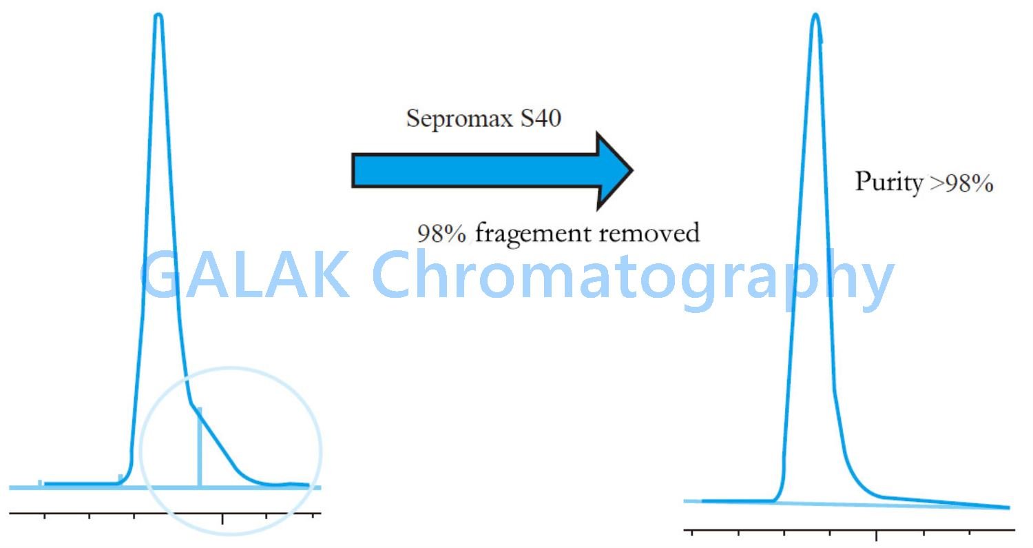 Ion exchange Chromatography Resins For Antibody Purification | GALAK