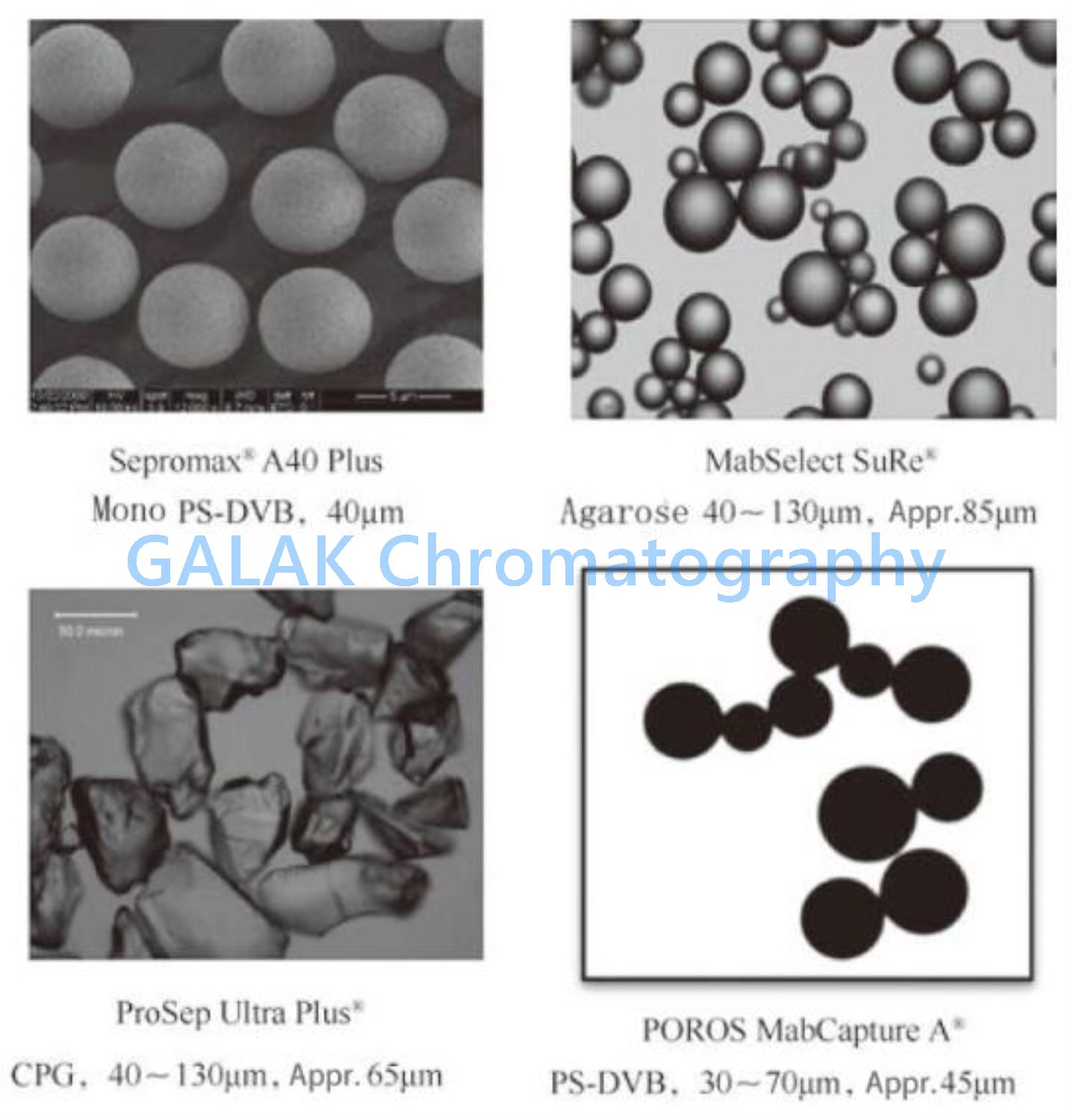 Protein A Affinity Resin for Mab Purification | GALAK Chromatography