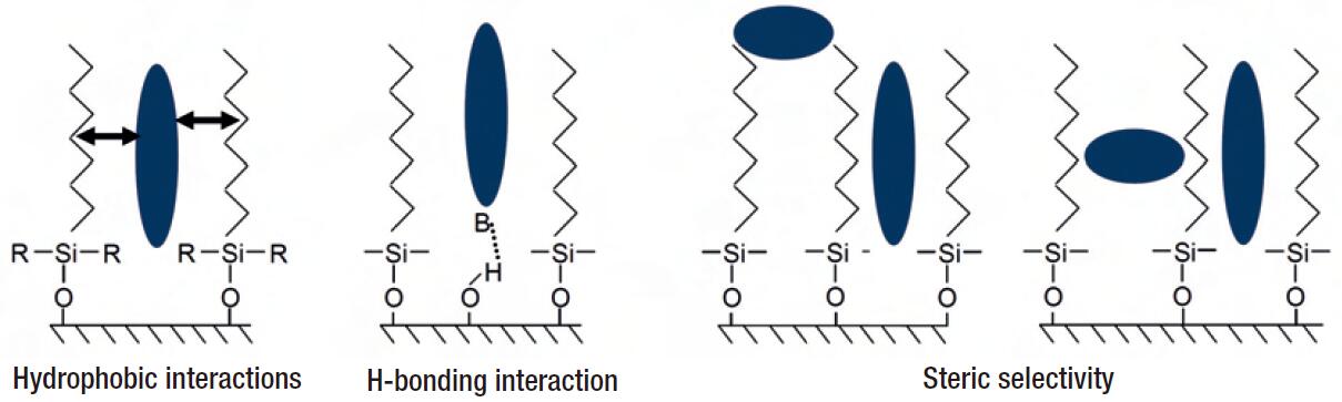 How to choose reversed-phase HPLC column C18, C8, C4